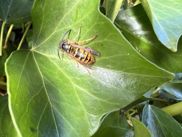 JammFM 104.9 – Smooth & Funky – Alles voor Ouder Amstel